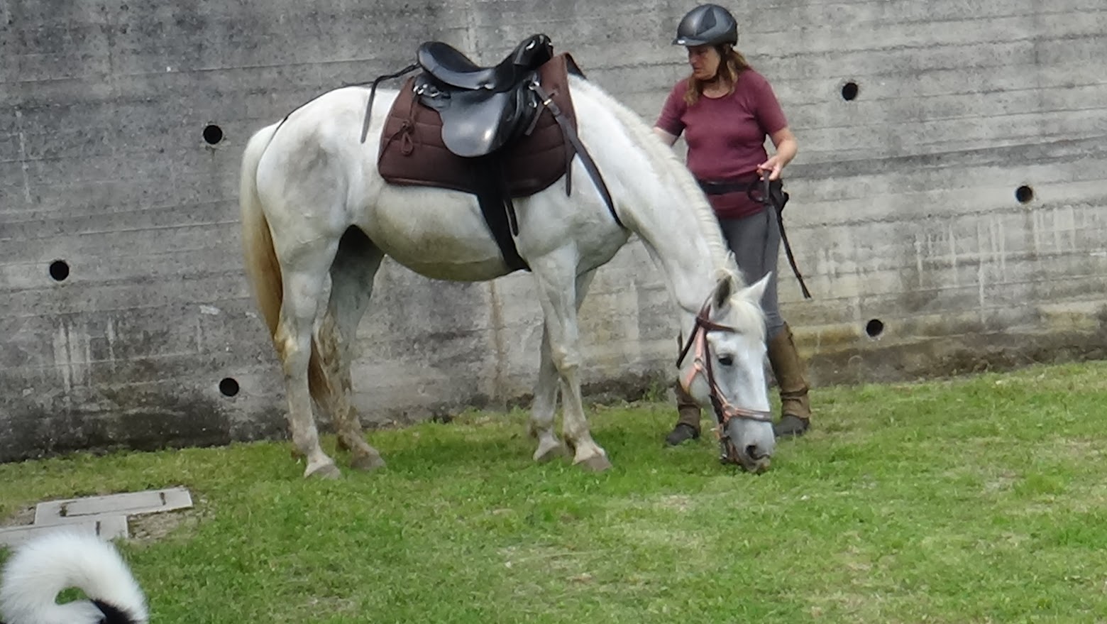 Andare a cavallo al Lago di Garda — Più Turismo