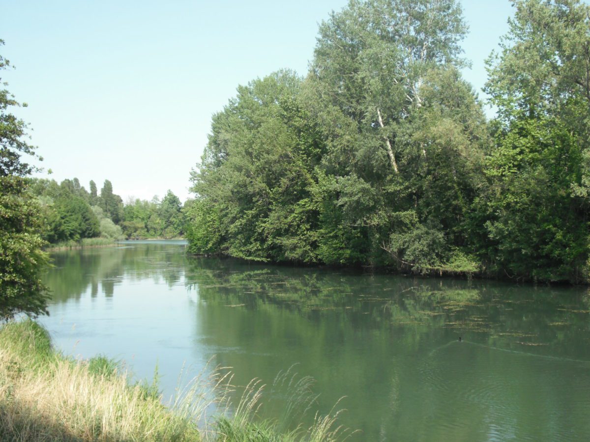 Parco Naturale Regionale del Fiume Sile — Più Turismo