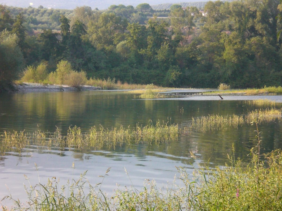 Oasi WWF Persano — Più Turismo