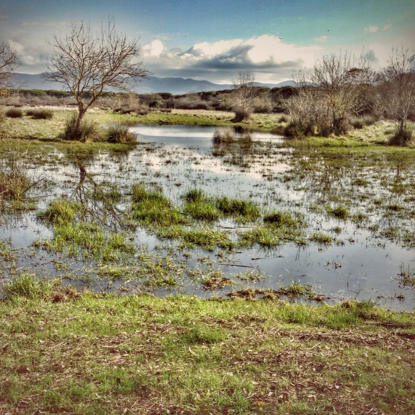 Cosa sono, quali sono e dove sono le oasi Italiane? — Più Turismo