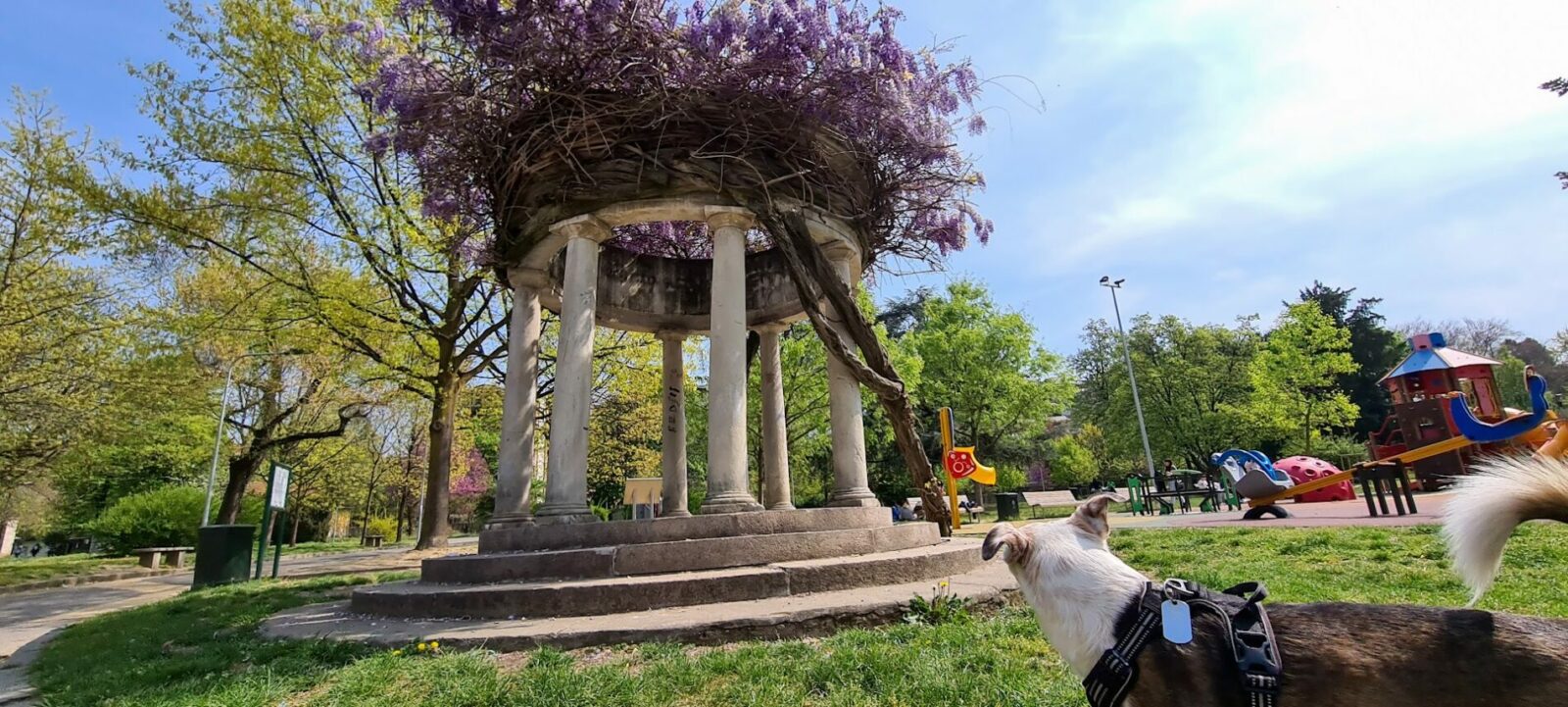 Un viaggio nel quartiere Gorla e la sua mappa — Più Turismo